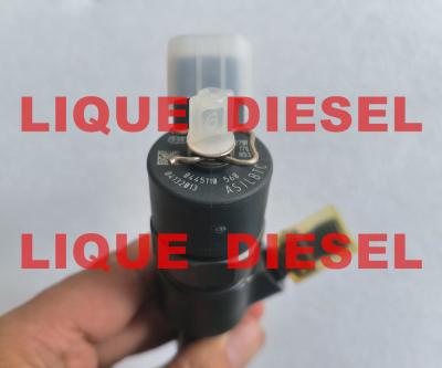 China BOSCH 0445110560 Common Rail Injector Genuine Brand New 0 445 110 560 for sale