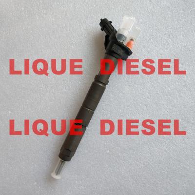 China BOSCH Common Rail Fuel Injector 0445116059 0445116019 3.0L for Fiat Ducato Iveco Daily for sale