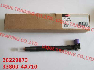 China DELPHI Common Rail Injector 28229873 for Hyundai KIA 33800-4A710 2.5L Euro IV for sale