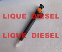China DELPHI Common Rail Injector 28602948 9674984080 28388960 28319895 New Genuine for sale