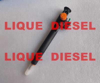 China DELPHI Common Rail Injector 28602948 9674984080 28388960 28319895 New Genuine for sale