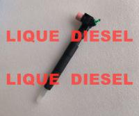 China DELPHI Common Rail Fuel Injector 28308779 A6510703287 6510703287 New Genuine for sale