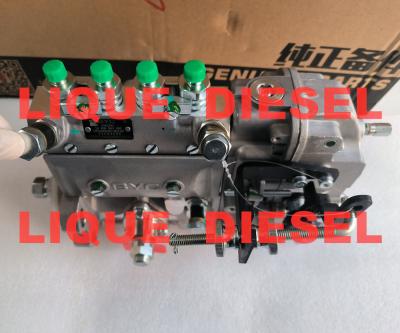 China Common Rail Fuel Pump 5342393 10400864080 CPES4A95D320/3RS2162 Genuine New for sale