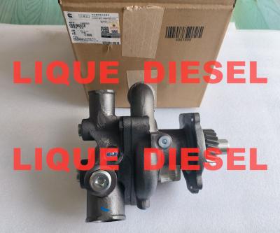 China Cummins Water Pump 4299030 4299030X  P4299030 for sale