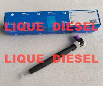 China DELPHI Common Rail Fuel Injector 33800-4A710 28229873 for Hyundai KIA 338004A710 for sale