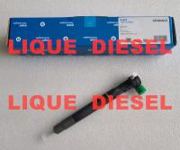 China DELPHI Common Rail Fuel Injector 28384645 A6720170021 for SSANGYONG D22 Euro 6 for sale