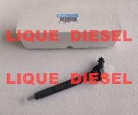 China BOSCH Common Rail Fuel Injector 0445116059 0445116019 for FIAT IVECO 3.0L Engine for sale