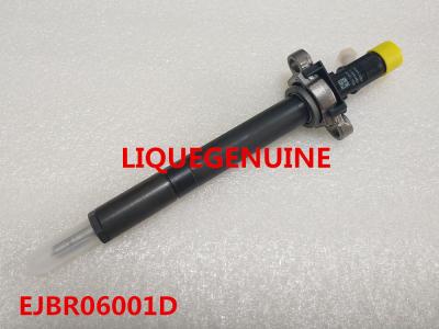 China Original New Delphi Common Rail Injector EJBR06001D 9688438580 for Diesel Engine for sale