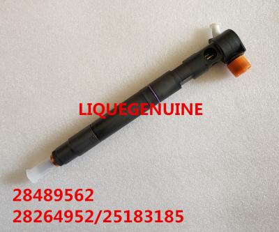 China DELPHI Common rail injector 28489562 / 25195088 , 28264952 / 25183185 for sale