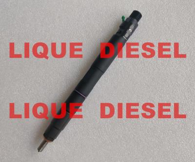 China Fuel Injector 28229876 Common Rail Injector 320 06827 for JCB 4.4D Engine for sale