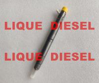 China Common Rail Injector 42039950 1100100XED95 Genuine New Fuel Injector for Diesel Engine for sale
