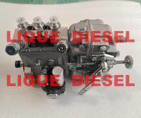 China Genuine Fuel Pump B3A504 BH3A95R common rail pump for sale