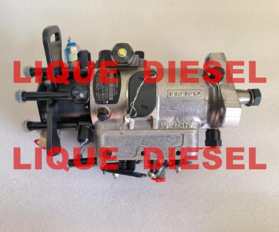 China Genuine Common Rail Fuel Pump 3062F075 3062F074 3062F073 3062F072 3062F071 3062F070 12B1 for sale
