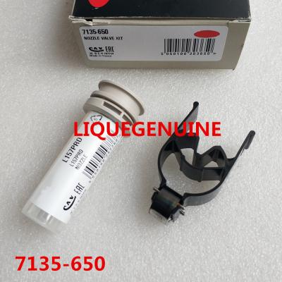 China DELPHI Nozzle Valve Kit 7135-650 Includes L157PRD Nozzle and 28538389 Valve Overhaul Kit for sale