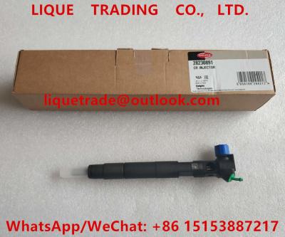China DELPHI Common Rail Fuel Injector 28230891 A6510701387 6510701387 Genuine New for sale