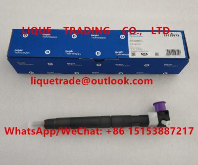 China DELPHI Common Rail Fuel Injector 28229873 33800-4A710 for Hyundai Kia Genuine New for sale