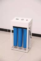 China Automatic Running Salty Water To Pure Water Treatment Machine SU304 Steel 500l/H RO Purify Equipment for sale