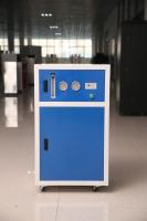 China Customized Voltage 500l/H Salty Water To Pure Water Treatment Purify Automatic Operation for sale