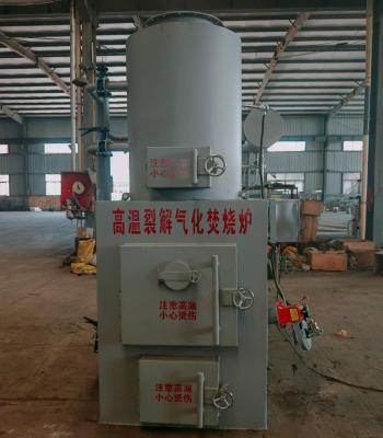 China Hospital Waste Incinerator with 15kg-10t Per Batch Capacity High Velocity Burner and 1 Year Warranty for Biomedical Waste Disposal for sale