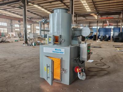 China Diesel Or Natural Gas Fuel Medical Incinerator For Hazardous Waste Treatment for sale