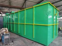 China Integrated Sewage Treatment Plant with Modular/Fixed Installation for Biological, Chemical, and Physical Treatment Meeting Local Environmental Regulations for sale