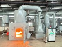 China Automatic 50-1000kg Smokeless High Capacity Hospital Medical Waste Incinerator for sale