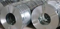 China Cold Rolled SUS 409L Stainless Steel Coil 1.5mm x 1195mm for Industrial Use for sale