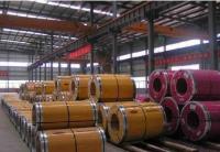 China Hot Rolled Steel Coil Q195 Q235 SS400 ST52 1.3-25mm Thickness 600-2600mm Width Carbon Steel Plate for sale