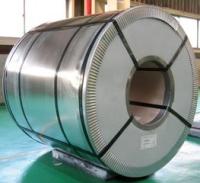 China Hot Dipped Galvanized Steel Coil DX51D Z100 0.13-1.2mm Thickness 600-1250mm Width for sale
