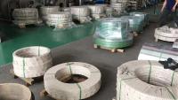 China Cold Rolled Steel Strips 0.25mm Thick 8.50mm Wide for Turbine Rotor Shaft Soft Condition for sale