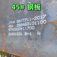 China Hot Rolled AISI 1045 S45C Carbon Steel Plate 10-200mm Thickness for sale