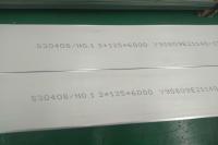 China S30408 06Cr19Ni10 Hot Rolled 304 Stainless Steel Flat Bar with 870°C Heat Resistance and Multiple Surface Finishes for sale