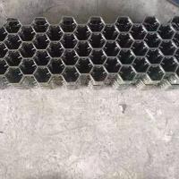 China Heat Resistant SS304 Tortoise Shell Net 40x40mm 50x50mm Stainless Steel Mesh for sale
