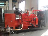 China Water Cooled Natural Gas Generator 40kw - 600kw Rated Power Moisture Proof for sale