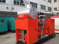 China Three Phase Natural Gas Generator CHP Water Cooled With Automatic Panel for sale