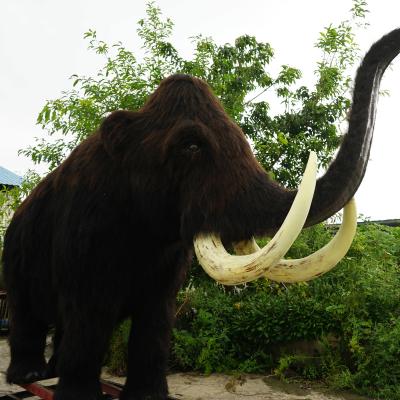 China Full Size Realistic Woolly Mammoth Waterproof for Amusement Park for sale