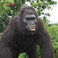 China Outdoor Realistic Animatronic Animals Gorilla Model Natural Color for sale