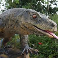 China Snowproof 4m Realistic Animatronic Animals Komodo Dragon Model for sale