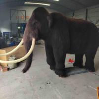China Size Custom Realistic Animatronic Animals Mammoth Model Adult Age for sale