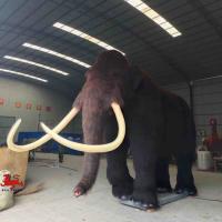China Size Custom Realistic Animatronic Animals Mammoth Model Adult Age for sale
