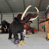 China RoHS Realistic Animated Animals Life Size Realistic Mammoth Model for sale