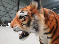 China Realistic Color Animatronic Tiger Model Weather Resistant Adult Age for sale
