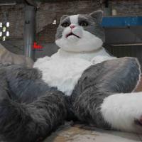 China Life Size Realistic Animatronic Animals 200W Size Custom Interactive Talking Cat for sale