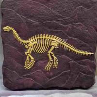 China Outdoor Dinosaur Skeleton Replica Model Life Size RoHS Approved for sale