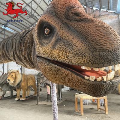China Indoor Realistic Dinosaur Head Wall Mount Decorative Size Customized for sale