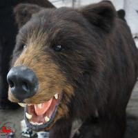 China Handmade Realistic Animatronic Animals Life Size With Movement / Sound Customization for sale