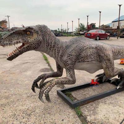China Theme Park  Realistic Animatronic Dinosaur Raptor  With Movement And Sound Customization for sale