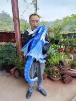 China Hand Puppet Simulation Blue Realistic Animatronic Dinosaur Baby With Wings for sale