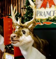 China Theme Park Animatronic Realistic Singing Reindeer Head For Christmas Decoration for sale