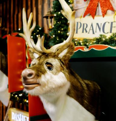 China Theme Park Animatronic Realistic Singing Reindeer Head For Christmas Decoration for sale